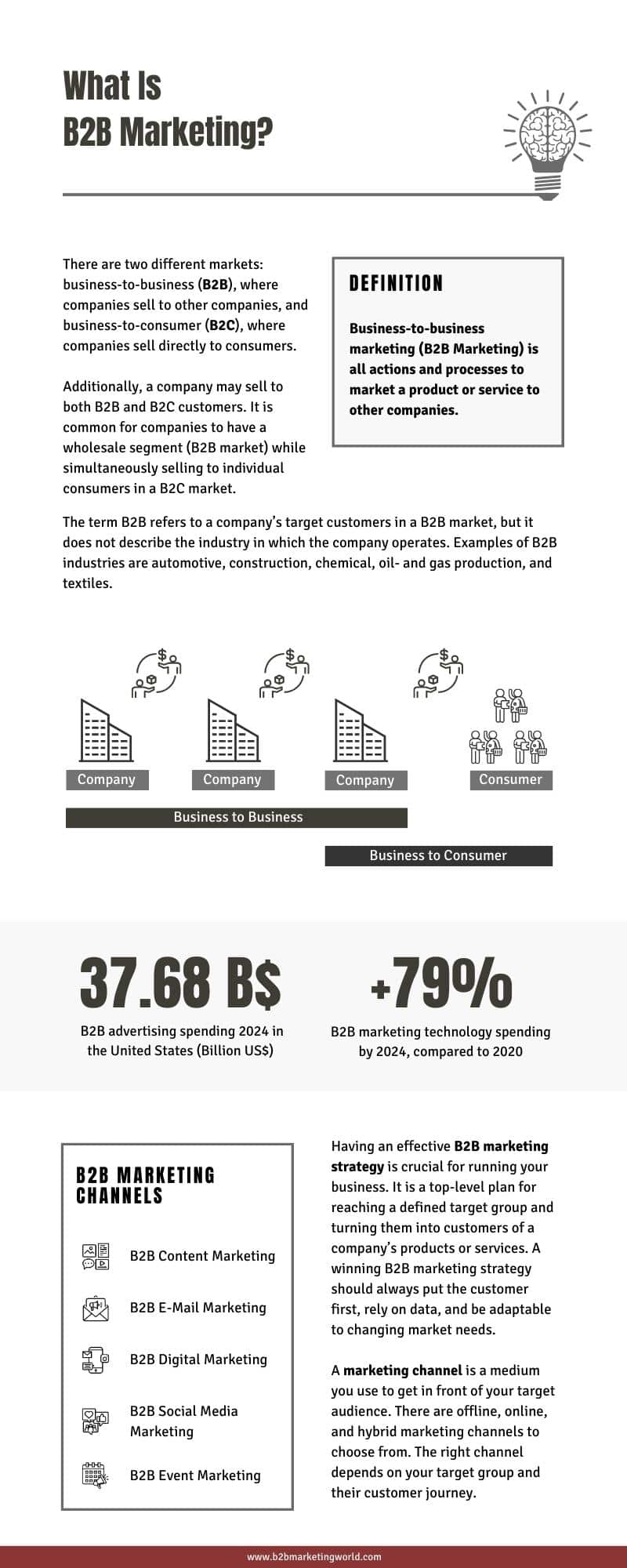B2B Marketing Infographic Download For Free 