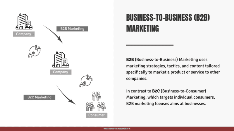 What Is B2B Marketing: Definition, Strategy, and Trends